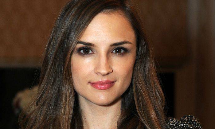 Rachael Leigh Cook Height Weight Age Body Statistics