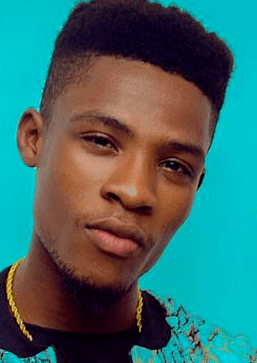 Joeboy Bio-Wiki, Age, Height, Wife, Net Worth, Songs (Baby, Beginning ...