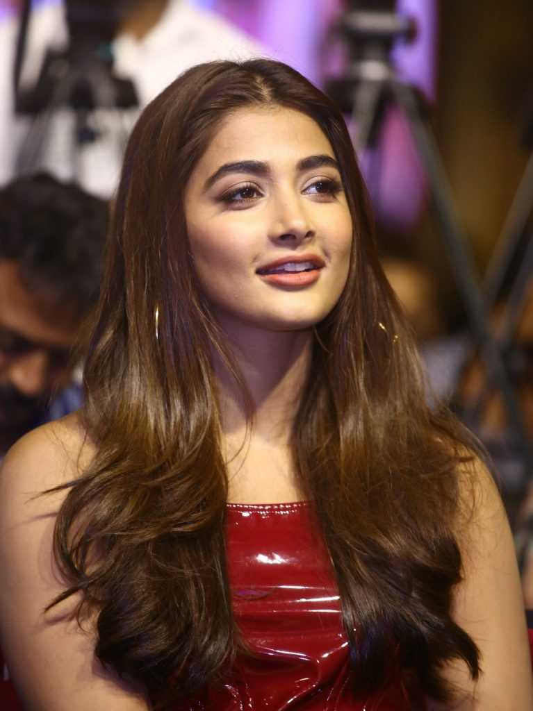 Pooja Hegde Biography: Age, Birthday, Movies, Career, Family, Net Worth ...
